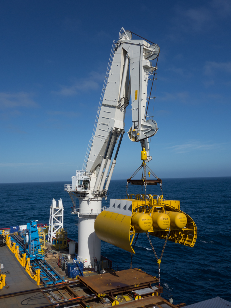 Brazil – Ross Hewitt Guiding